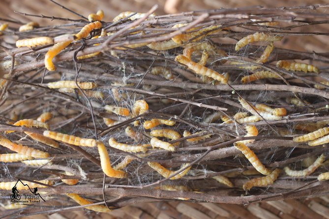 Silk Island & countryside of Phnom Penh by Tuk Tuk - Final Thoughts