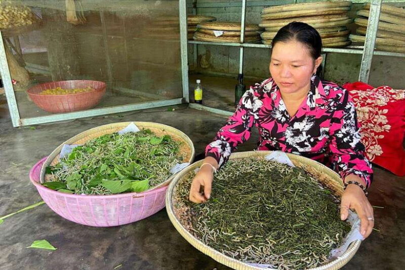 Silk Island Cruise and Tours with English Speaking Guide - Who Should Consider This Tour?