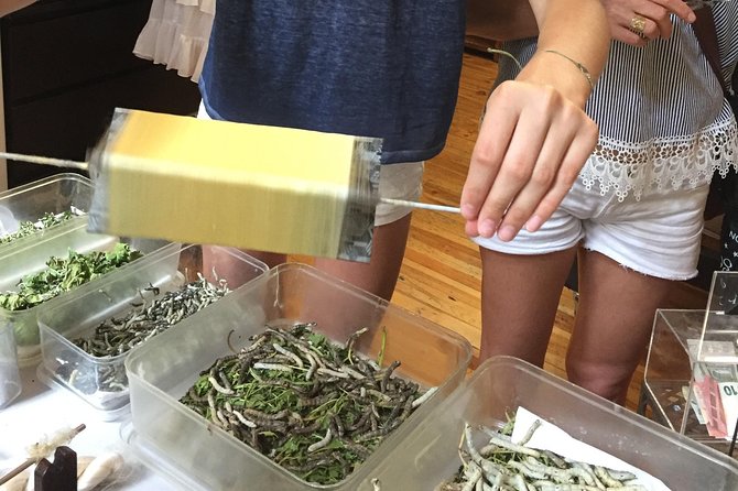 Silk Tour in Lyon - Visitor Feedback and Reviews