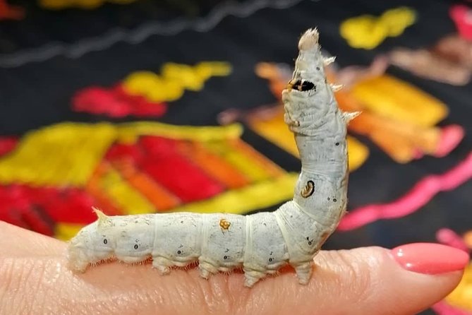 Silk Tour in Lyon - Exploring the Traboules of Croix Rousse