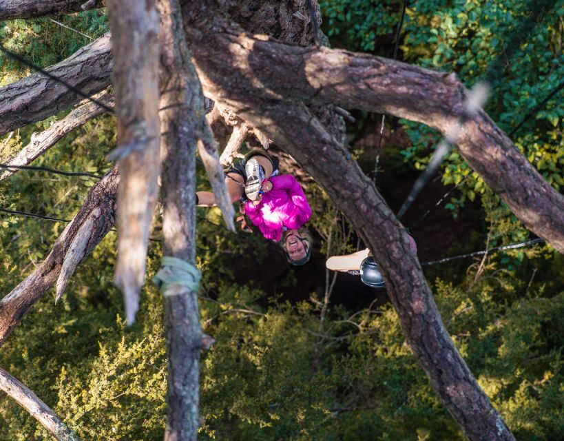 Silver Falls: Old-Growth Tree Climbing Adventure - Practical Details and Logistics