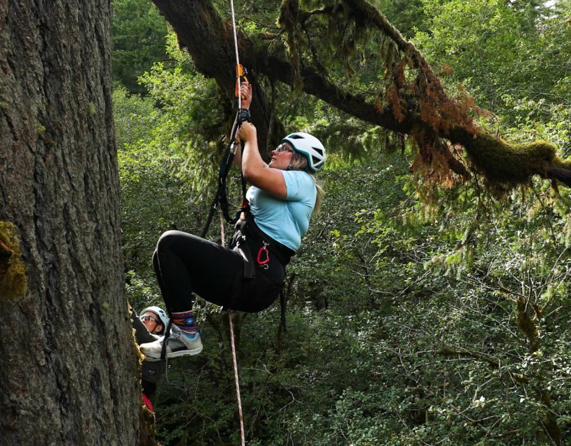 Silver Falls: Old-Growth Tree Climbing Adventure - Who Should Consider This Tour?
