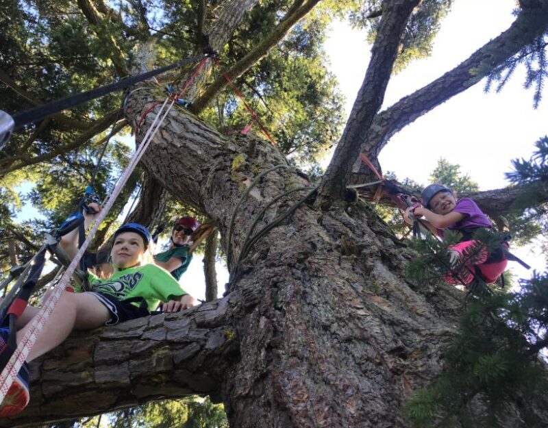 Silver Falls: Old-Growth Tree Climbing Adventure - The Sum Up
