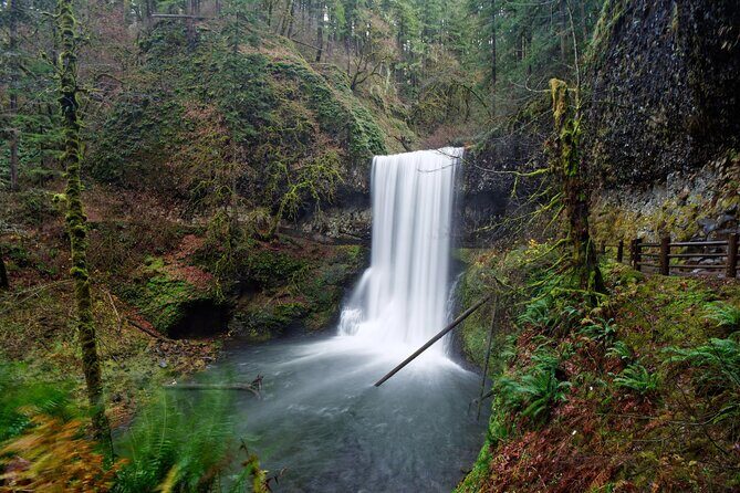 Silver Falls Private Hike Tour - An In-Depth Look at the Silver Falls Private Hike Experience