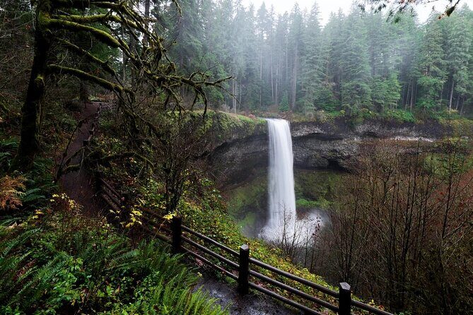Silver Falls Private Hike Tour - Discovering Silver Falls: A Closer Look at the Itinerary
