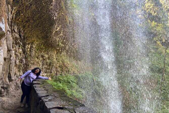 Silver Falls Waterfall Hiking Tour from Portland - An In-Depth Look at the Tour Experience