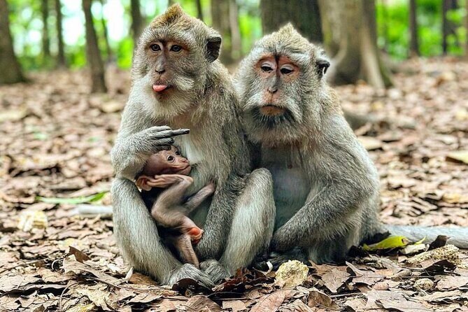 Silver Jewelry Making Class - Waterfall and Monkey Sanctuary - Final Thoughts