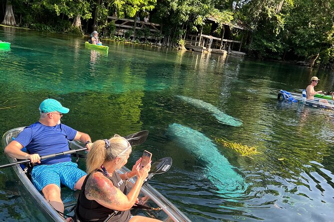 Silver Springs Clear Kayak Manatee & Monkey Adventures - Key Points