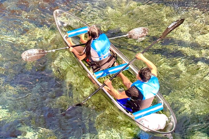 Silver Springs Clear Kayak Manatee & Monkey Adventures - Value and Enjoyment