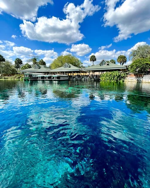 Silver Springs: Clear Kayak Wildlife Tour - The Sum Up