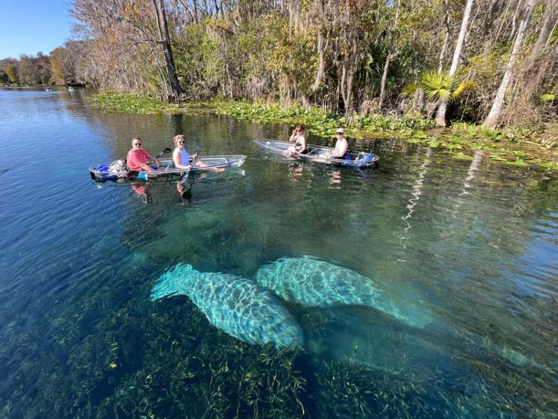 Silver Springs: Clear Kayak Wildlife Tour - The Itinerary in Detail