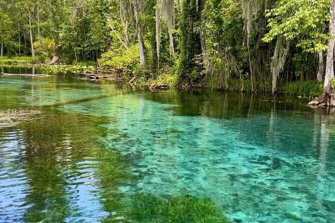 Silver Springs: Clear Kayaking Wildlife Tour - An In-Depth Look at Silver Springs’ Wildlife Kayaking Experience