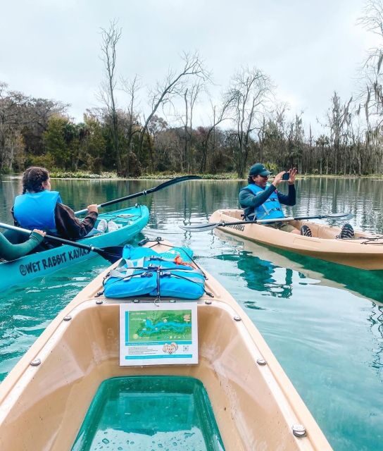 Silver Springs: Glass Bottom Kayak and Wildlife Tour - Key Points