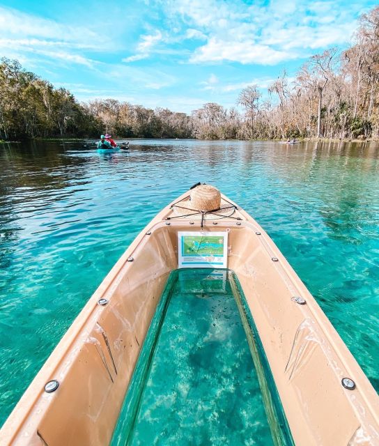 Silver Springs: Glass Bottom Kayak and Wildlife Tour - Why This Tour Offers Great Value
