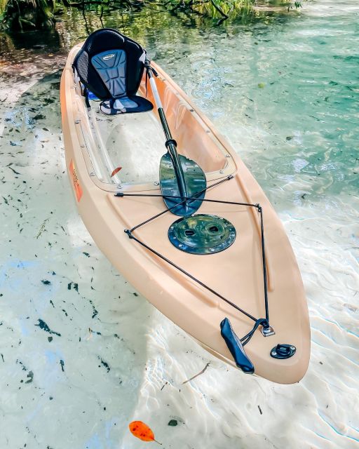 Silver Springs: Glass Bottom Kayak and Wildlife Tour - Authentic Insights from Travelers