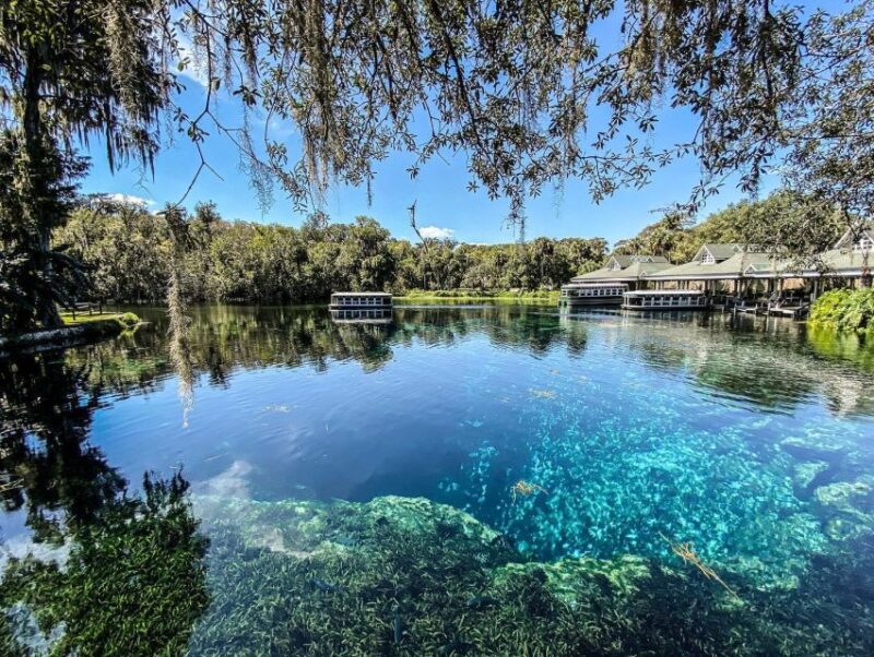 Silver Springs: Glass Bottom Kayak and Wildlife Tour - Practical Tips for Your Tour