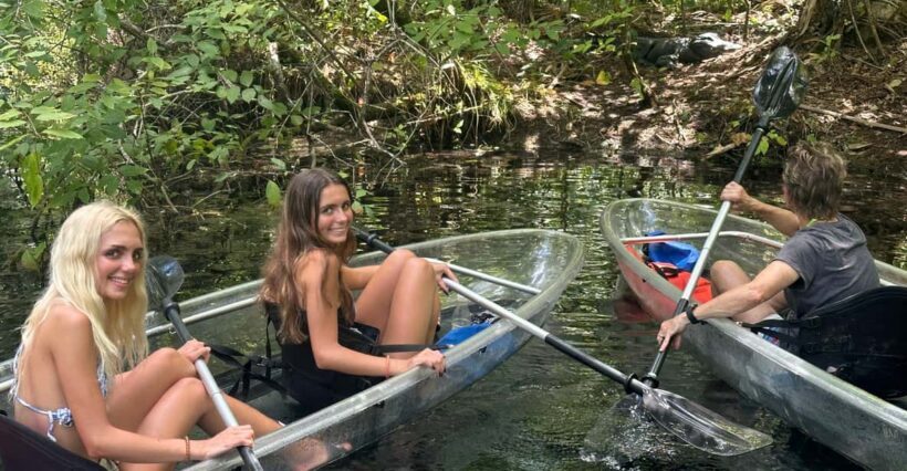 Silver Springs: Guided Clear Kayak or Paddleboard Gator Tour - Introduction: A Unique Way to Experience Silver Springs