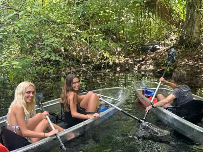 Silver Springs: Guided Clear Kayak or Paddleboard Gator Tour - Insights from Travelers and Value Analysis