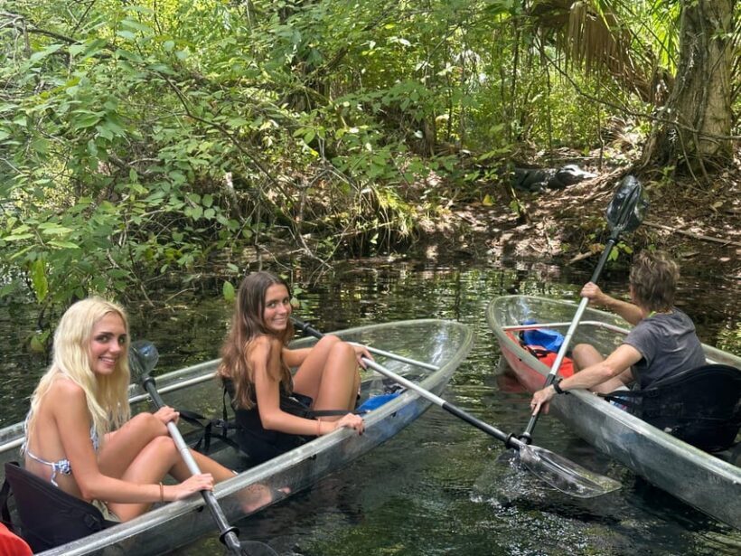 Silver Springs: Guided Clear Kayak or Paddleboard Gator Tour - Practical Details and Tips