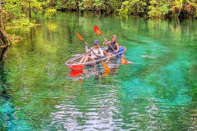 Silver Springs Jungle Kayaking and Paddleboarding - An In-Depth Look at the Silver Springs Jungle Kayaking and Paddleboarding Tour