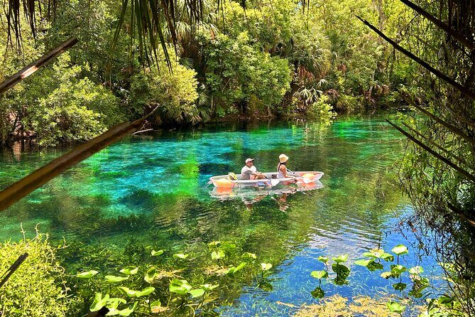 Silver Springs Jungle Kayaking and Paddleboarding - Source