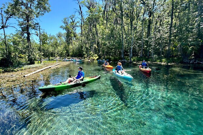 Silver Springs Kayak Rental - The Best Florida Adventure - Authentic Perspectives from Reviews