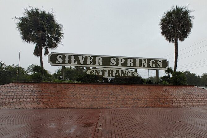 Silver Springs Manatee Kayak Tour - Price and Value: Is It Worth It?