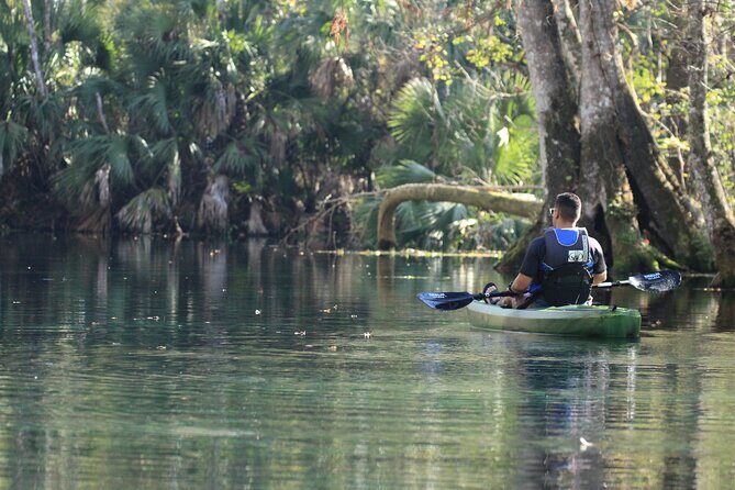 Silver Springs Manatee Kayak Tour - Final Thoughts: Who Should Book This Tour?