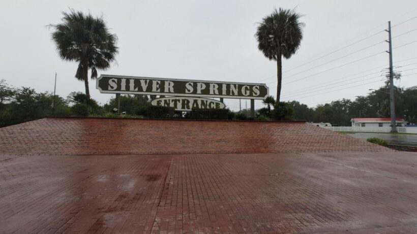 Silver Springs Manatee Kayaking Tour - The Itinerary and What to Expect