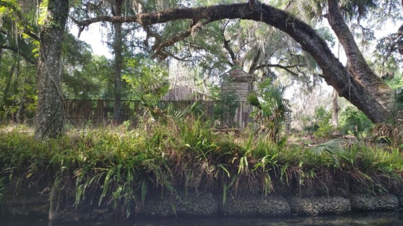 Silver Springs Manatee Kayaking Tour - Reviews and Real Traveler Insights