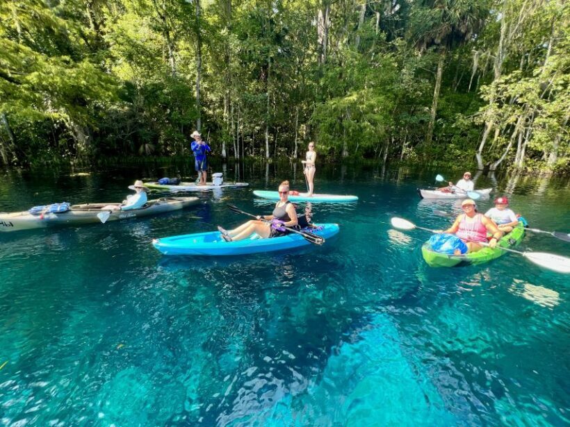 Silver Springs: Manatees and Monkeys Clear Kayak Guided Tour - Pricing and Value