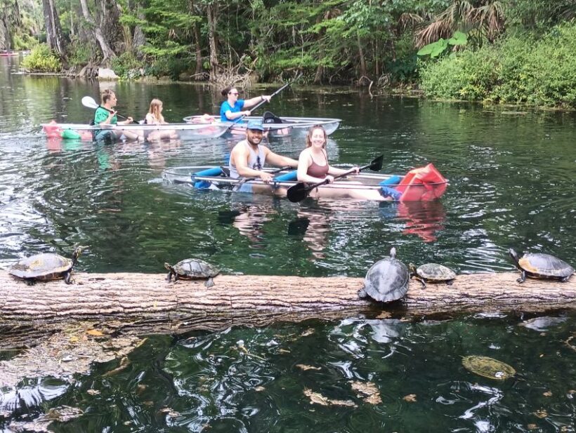 Silver Springs: Manatees and Monkeys Clear Kayak Guided Tour - Final Thoughts: Who Should Book This Tour?