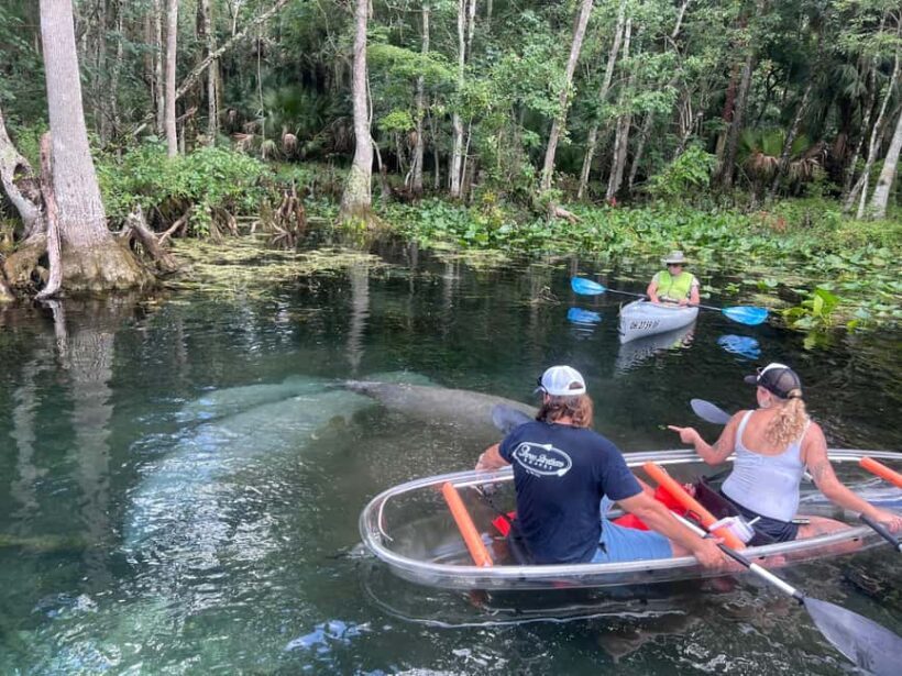 Silver Springs: Manatees, Monkeys, and Natural Spring Tour - FAQ