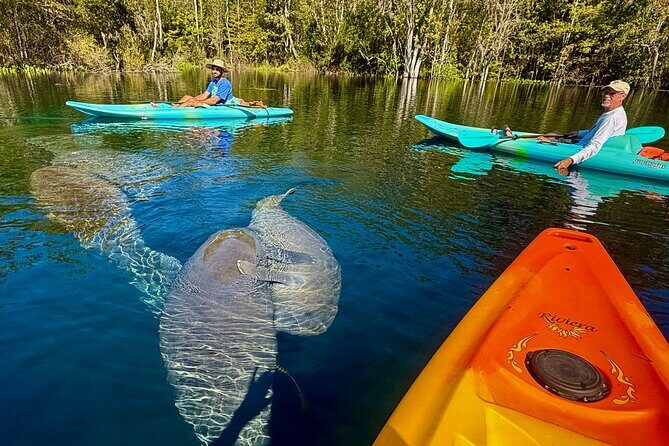 Silver Springs Premium Florida Wildlife Experience! - Introducing the Silver Springs Premium Florida Wildlife Experience