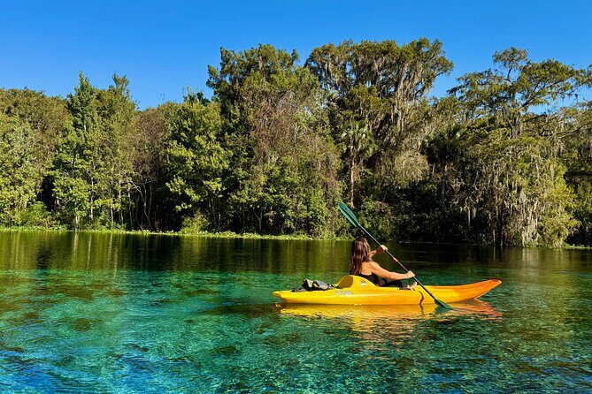 Silver Springs Premium Florida Wildlife Experience! - Why Choose This Tour?