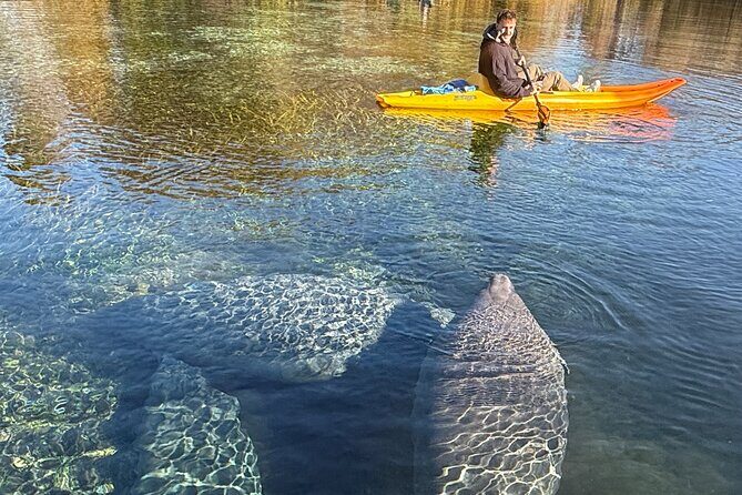 Silver Springs Premium Florida Wildlife Experience! - The Sum Up