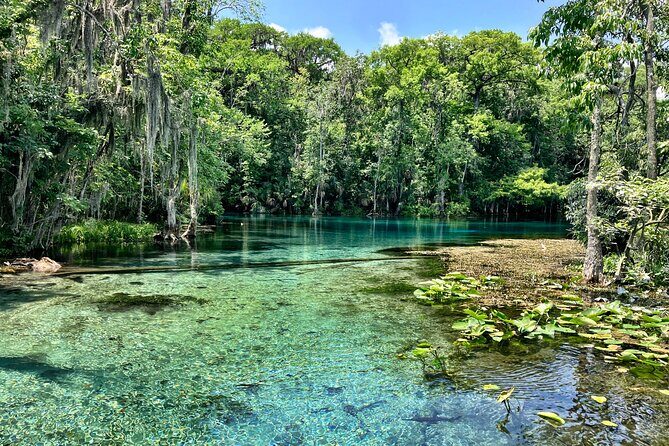 Silver Springs Premium Florida Wildlife Experience! - FAQ