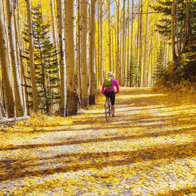 Silverthorne: Mountain Bike Ride Salt Lick Trails - Key Points
