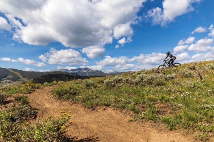 Silverthorne: Mountain Bike Ride Salt Lick Trails - How the Experience Compares to Similar Options