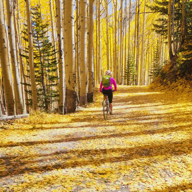 Silverthorne: Mountain Bike Ride Salt Lick Trails - The Guides and Their Expertise