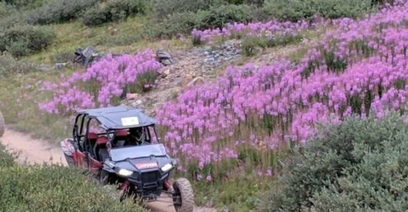 Silverton: Half-Day ATV Offroad Adventure - The Itinerary: What Makes This Tour Special