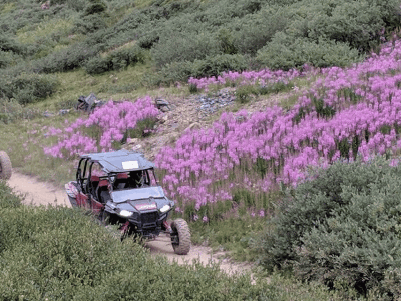 Silverton: Half-Day ATV Offroad Adventure - What to Expect and What Not to Expect