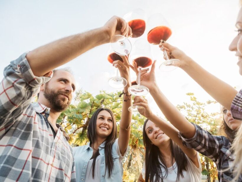 Silves: Algarvian Winery Tour and Tasting Experience - Key Points