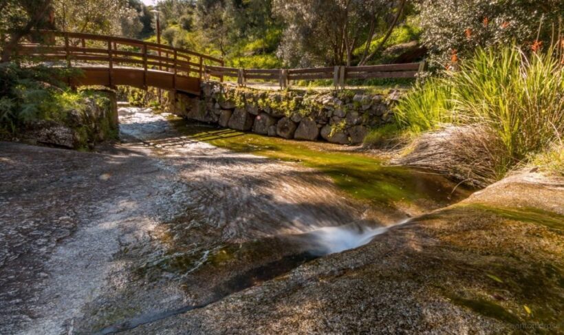 Silves, Caldas and Monchique Wine Tasting: Full Day Tour - FAQ