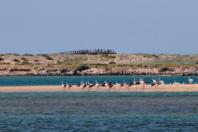 Silves: The Medieval Charm of the Algarve - The Sum Up