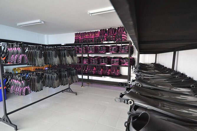 Similan Island Snorkeling Adventure -Full-Day Tour with Transfers - The Bottom Line: Why You Should Consider This Tour