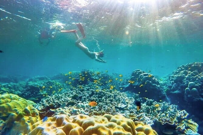 Similan Islands Day Tour from Phuket and Khaolak - Who Will Love This Tour?