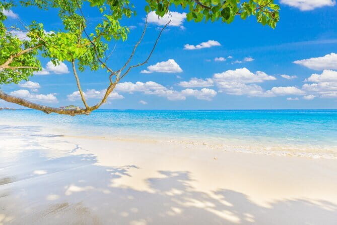 Similan Islands Full Day - Premium - The Itinerary in Detail: What You Can Expect