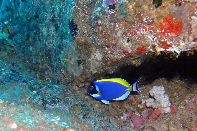 Similan Islands Full-Day Tour from Phuket with Lunch - Transportation and Group Size