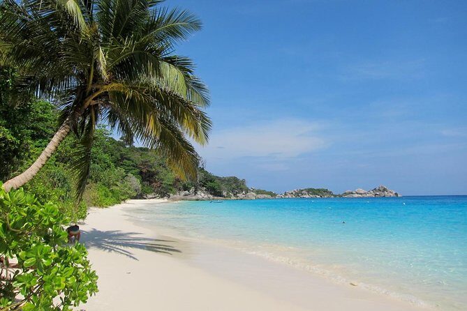 Similan Islands Full-Day Tour from Phuket with Lunch - Food and Extras